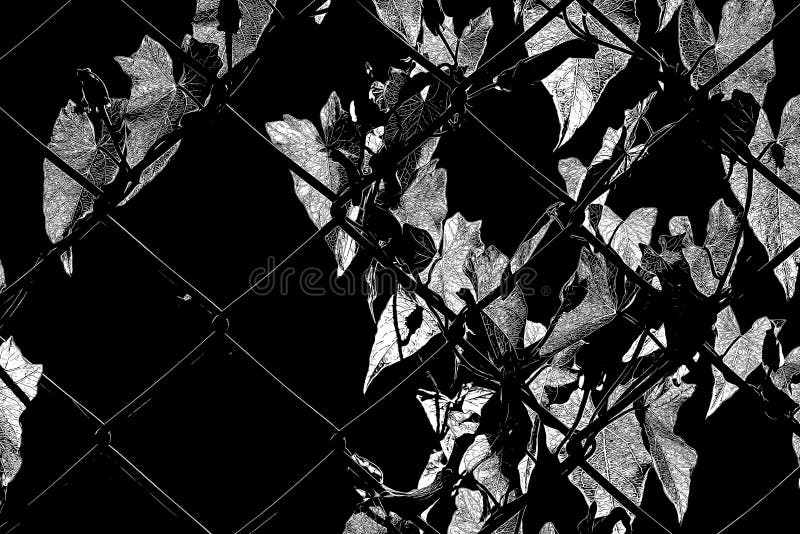 221 Outline Image 15 Stock Photos - Free & Royalty-Free Stock Photos ...