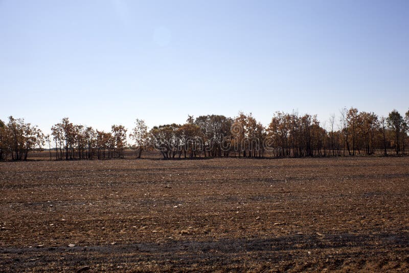 Field burned stock image. Image of smoke, grass, destruction - 34230917