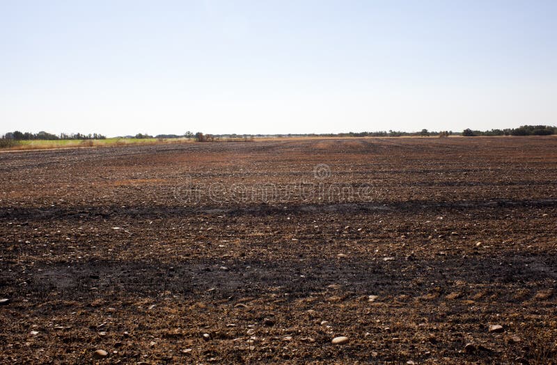 Field burned stock photo. Image of loss, kindling, environment - 34230968
