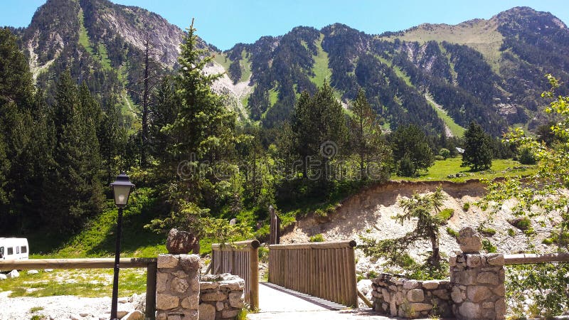 Field from Catalonian Pyrenees Stock Photo - Image of nature, mountain ...