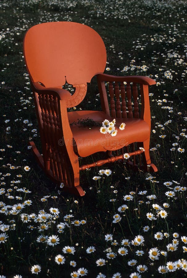 Field Chair stock image. Image of orange, pretty, white - 4590769