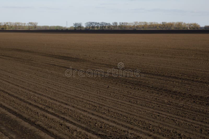Field Chernozem Sowing Spring Greenery Stock Image - Image of ukraine ...