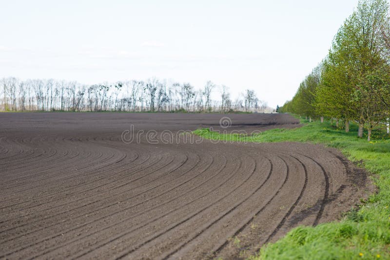 Field Chernozem Sowing Spring Greenery Stock Photo - Image of landscape ...