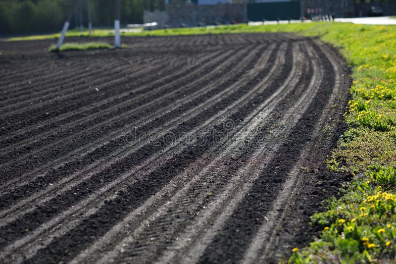 Field Chernozem Sowing Spring Greenery Stock Image - Image of ground ...