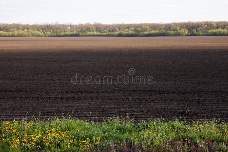 Field Chernozem Sowing Spring Greenery Stock Image - Image of farm ...