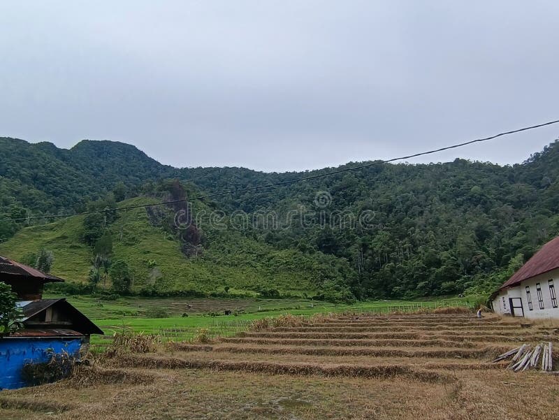 Field with Hill at My Village Stock Photo - Image of grassland, soil ...