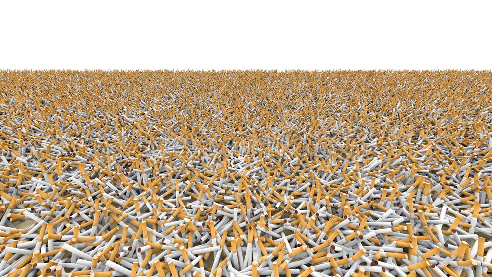 Field of cigarettes stock illustration. Illustration of consumption ...