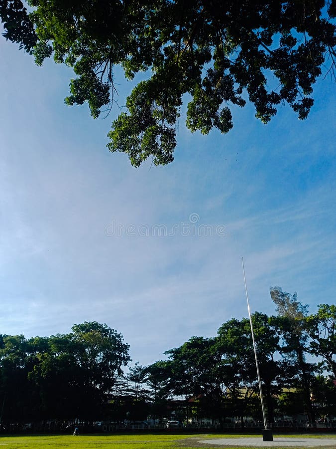 Field with Clear Blue Sky and Shady Trees. Stock Photo - Image of blue ...