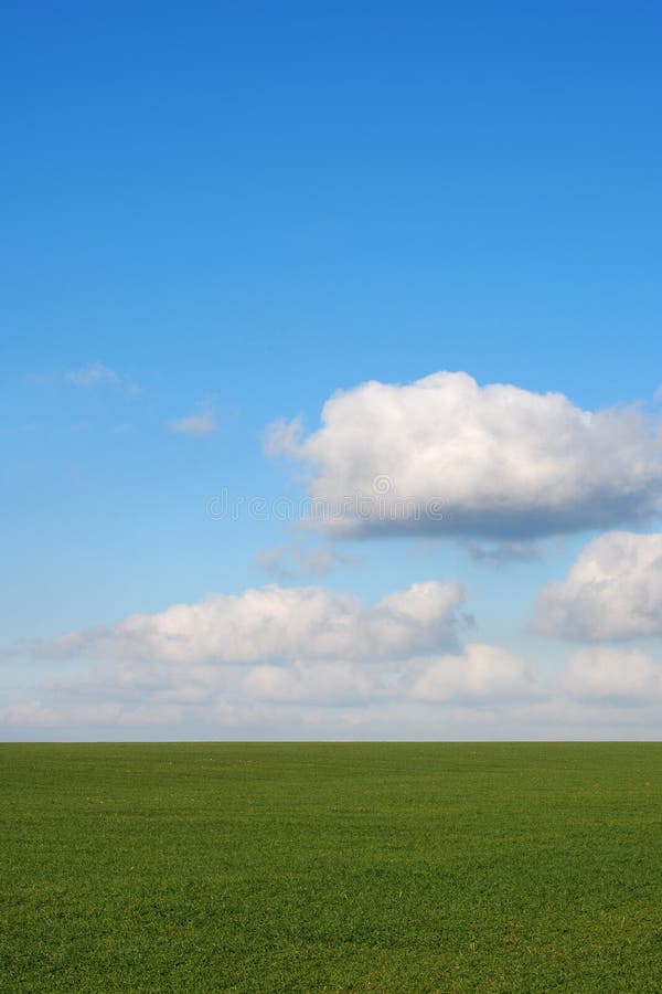 Field and cloud stock image. Image of plant, outdoors - 3700339