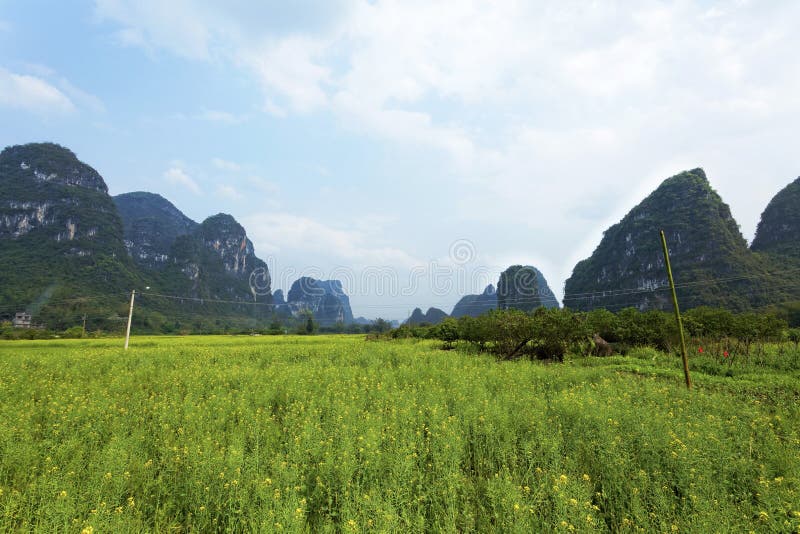 Field Contry Scenery View,Yangshuo County Stock Photo - Image of yulong ...