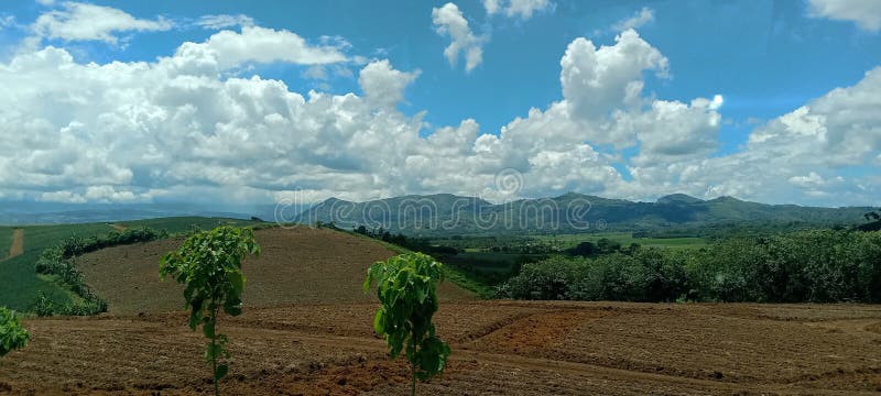 A field in Cotabato stock image. Image of nature, prairie - 248920321