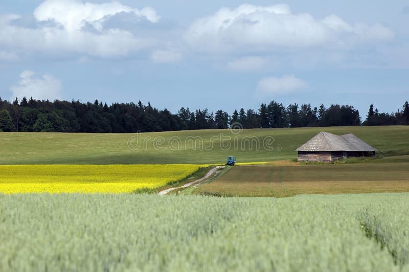 Field, Cottage and Dirt Agricultural Land Stock Image - Image of ...