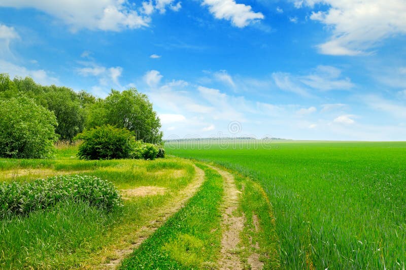 Field, Country Road and Blue Sky Stock Image - Image of land, clouds ...