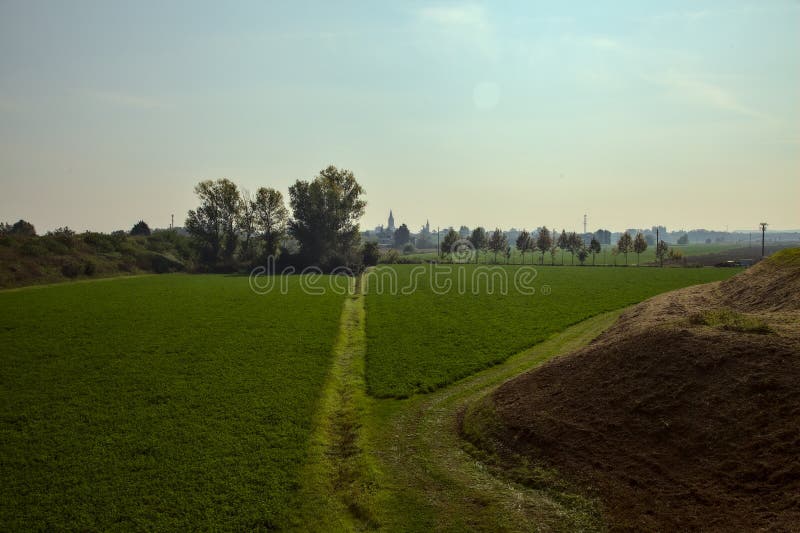 Field in the Countryside in Autumn at Noon with Trees in the Distance ...