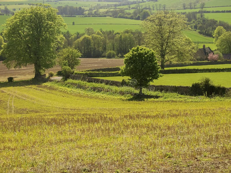 Field stock photo. Image of green, countryside, horizon - 30103096