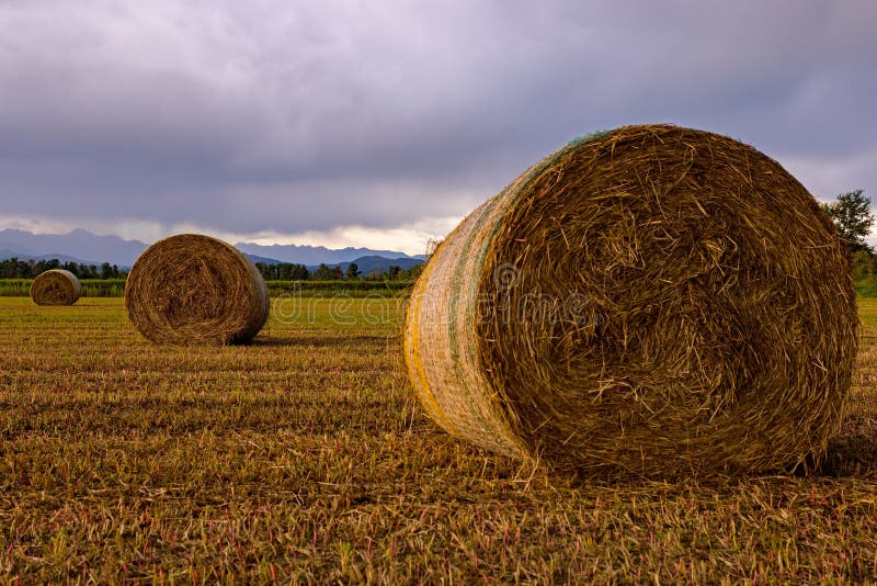 Field Covered in Haystacks and Greenery Under the Sunlight and a Cloudy ...