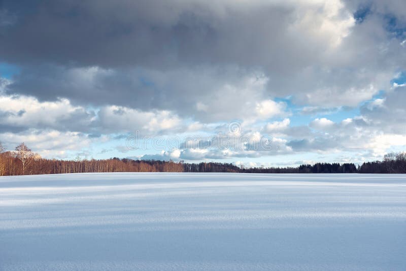 Field Covered with Snoow, Trees on Horizon Line Under the Cloudy Sky ...