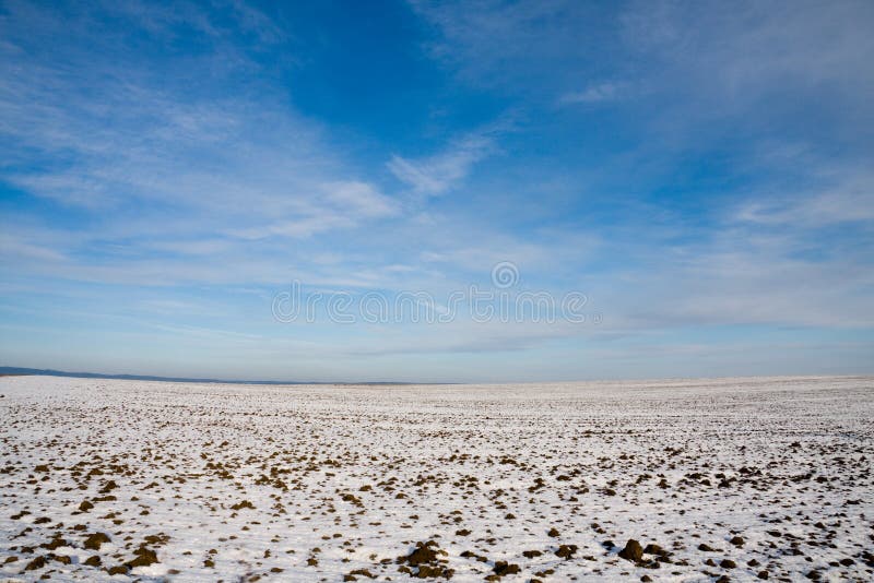 Field covered by snow stock photo. Image of snow, pasture - 12040158