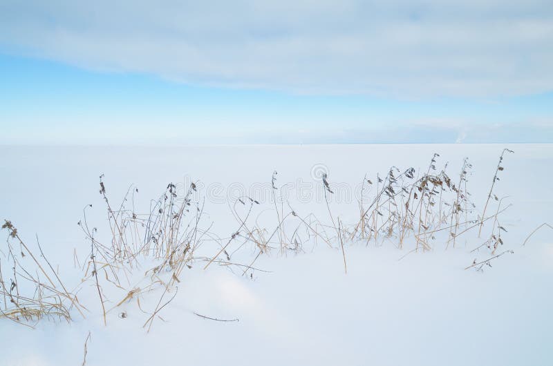 Field covered with snow. stock photo. Image of snowfall - 117930276