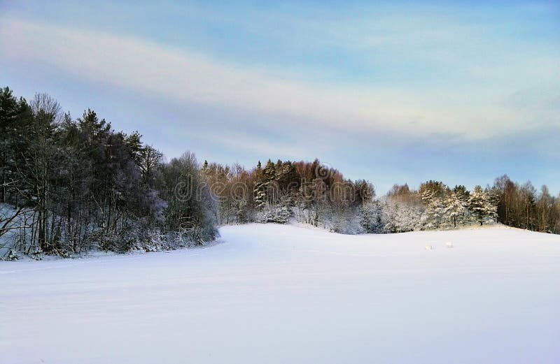 Field Covered in the Snow Surrounded by Greenery Under the Sunlight in ...