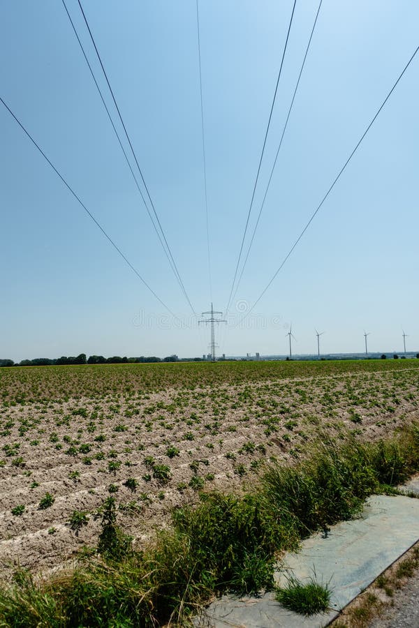 A Field of Crops with a Power Line Running through it Stock Photo ...