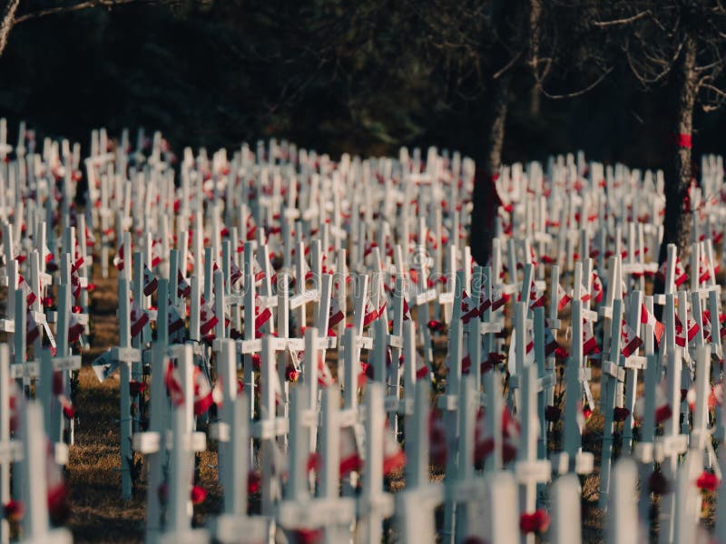 Field of Crosses Sign editorial photography. Image of memorial - 233622567