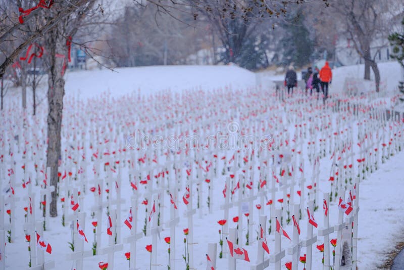 Field of Crosses To Mark Canada S Remembrance Day Editorial Stock Image ...
