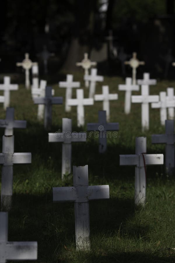 Field of crosses stock photo. Image of crosses, religion - 99992004