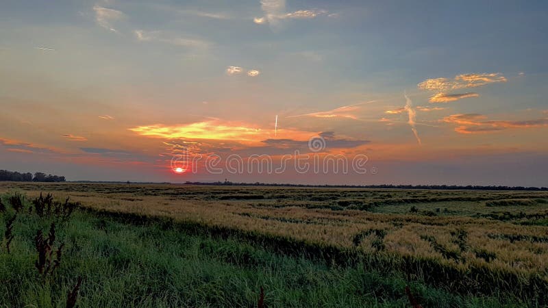 Dawn in a field stock image. Image of season, dawn, halo - 27421905