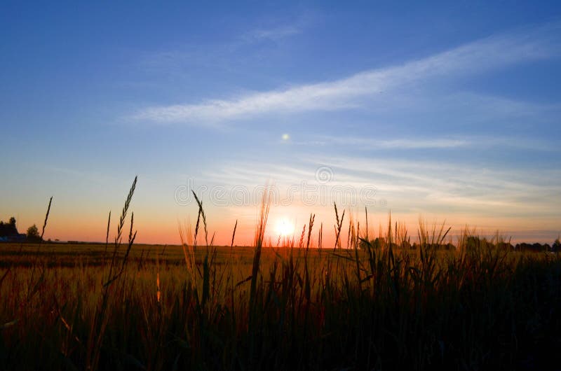 The field at dawn stock photo. Image of rises, summer - 73731146