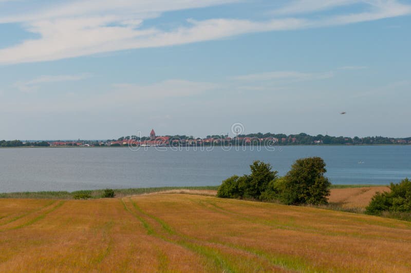 A field in Denmark stock image. Image of keywords, moen - 101644551
