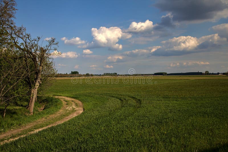 Field with a Dirt Path Next To it in the Italian Countryside Stock ...