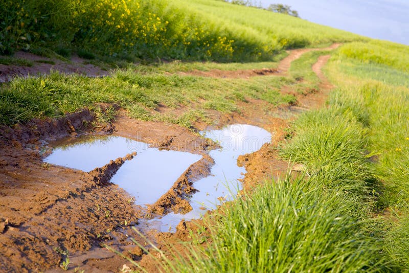 Field dirt road stock photo. Image of crop, field, scene - 28396382