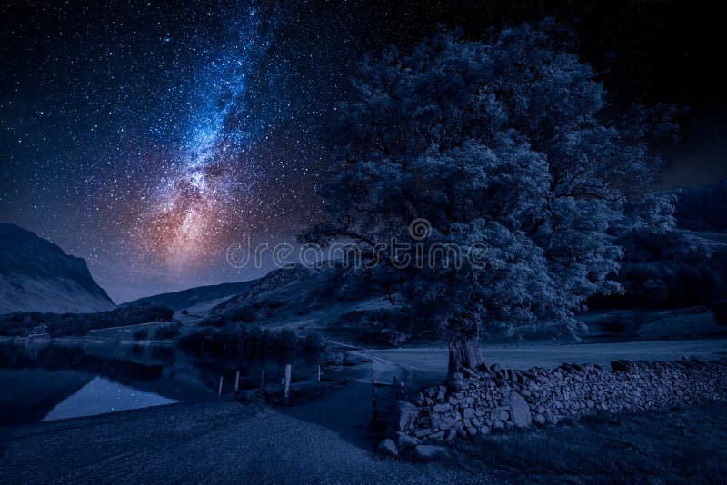 Field in District Lake at Night with Stars Stock Image - Image of ...