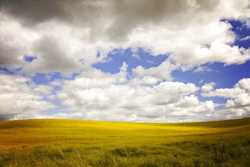 Field with dramatic sky. stock photo. Image of nature - 62834304