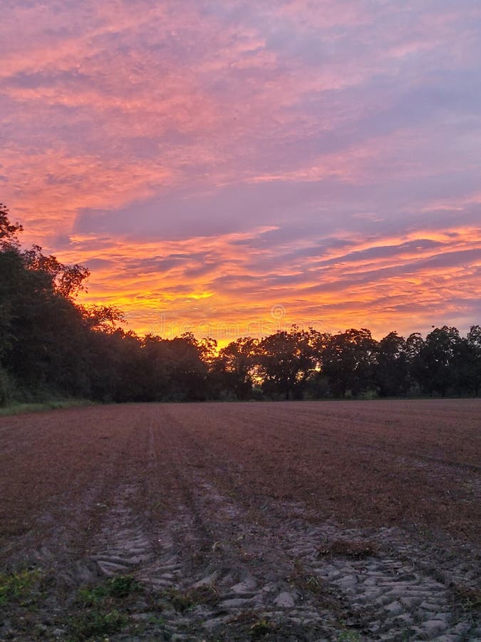 Field of dreams? stock image. Image of sunrise, dusk - 234345121