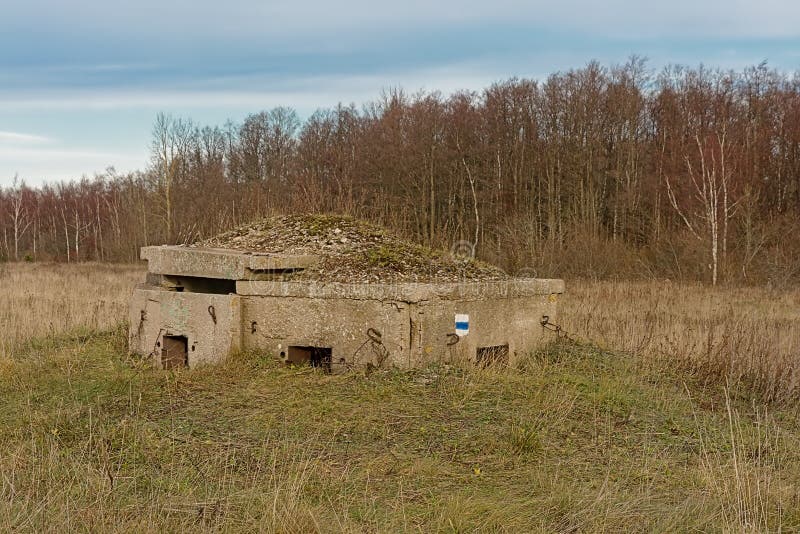 Field with Old Bunker and Birch Forest on Pakri Peninsula, Paldiski ...