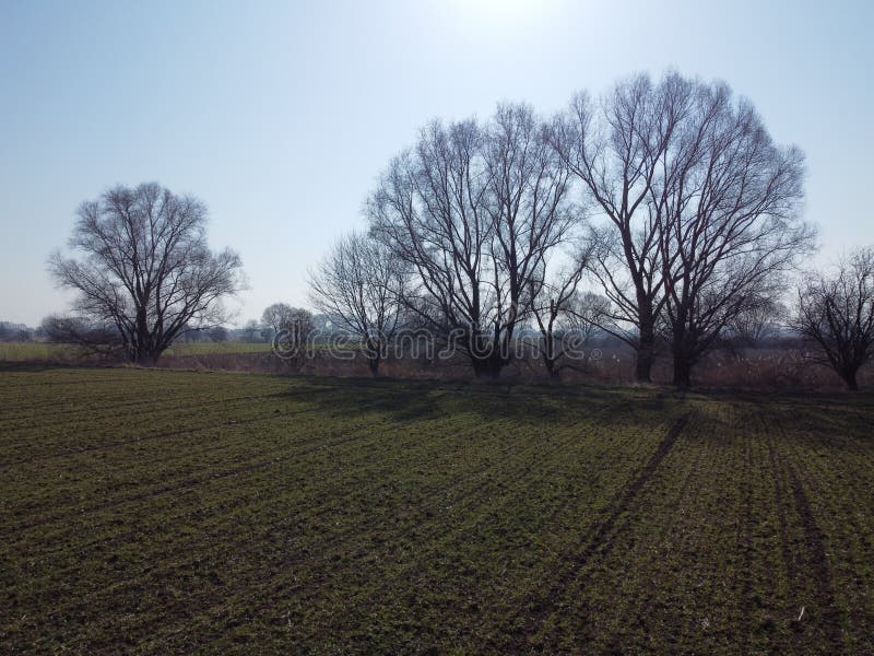 Field in Early Spring, Close-up of the Ground Stock Image - Image of ...