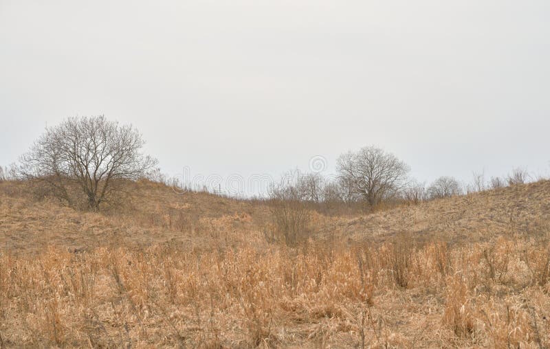 Field of early spring. stock image. Image of farmin, ecological - 69589955