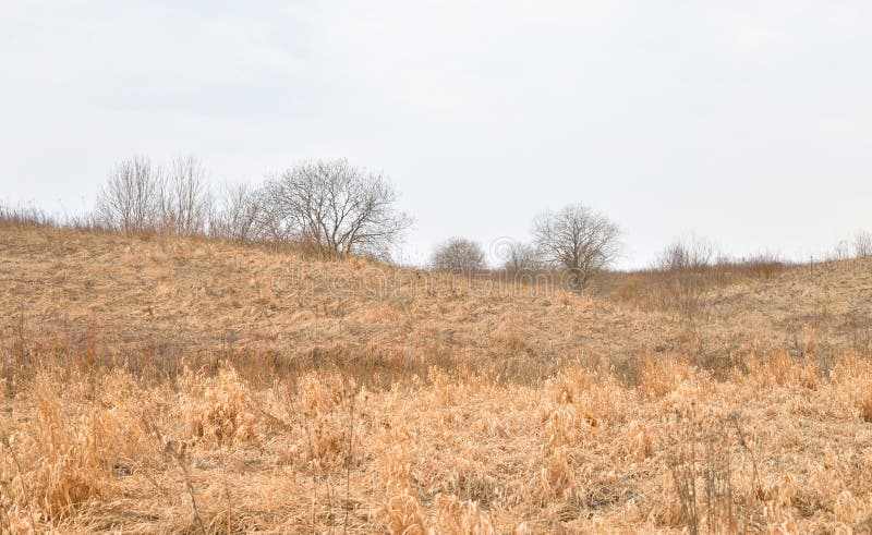 Field of early spring. stock photo. Image of meadow, fall - 86478100