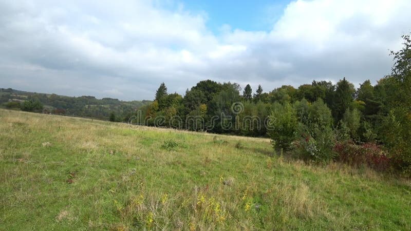 Field on the Edge of a Forest on a Hillside Stock Video - Video of hill ...