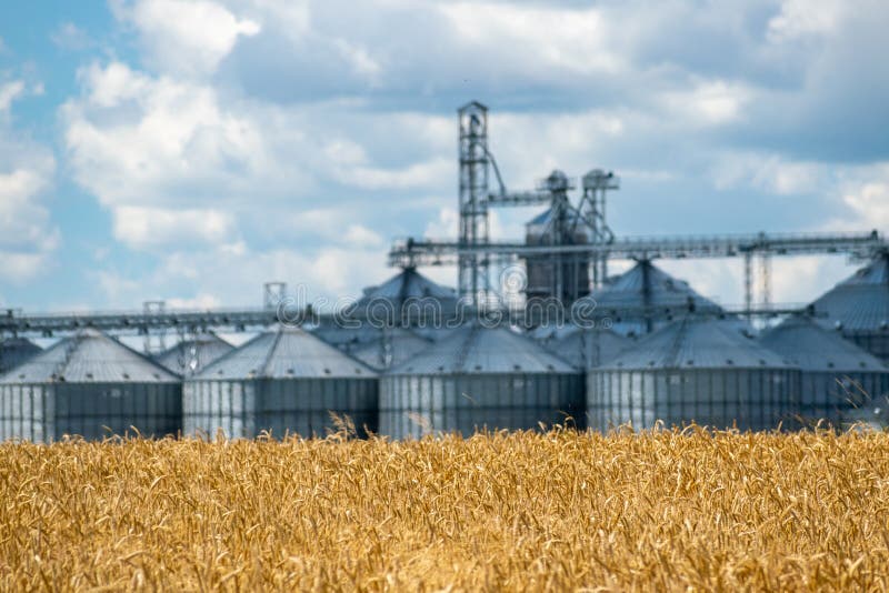 Field and elevator stock photo. Image of corn, metal - 154389306