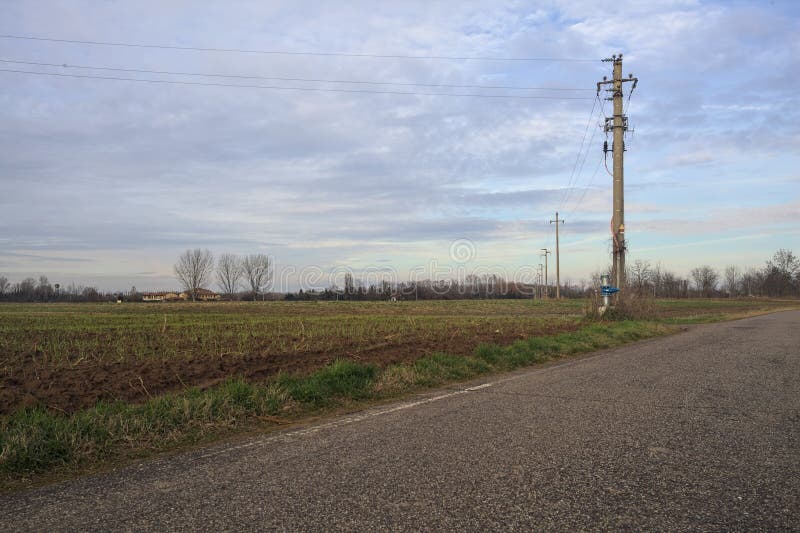 Field by the Edge of a Narrow Road Stock Photo - Image of color, farm ...