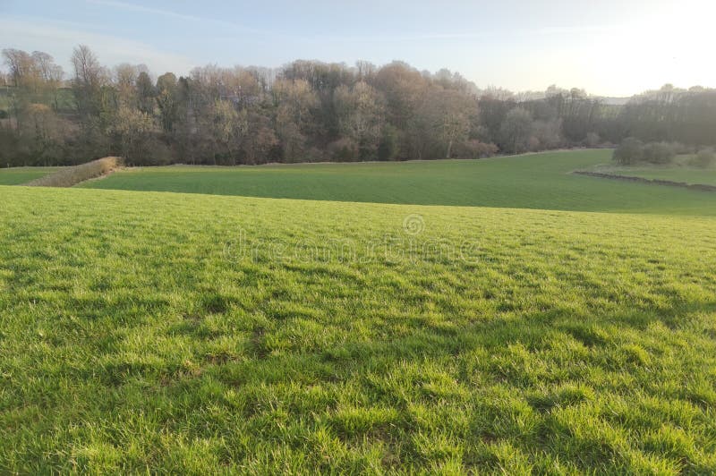 Field in the evening stock photo. Image of plain, prairie - 214833872