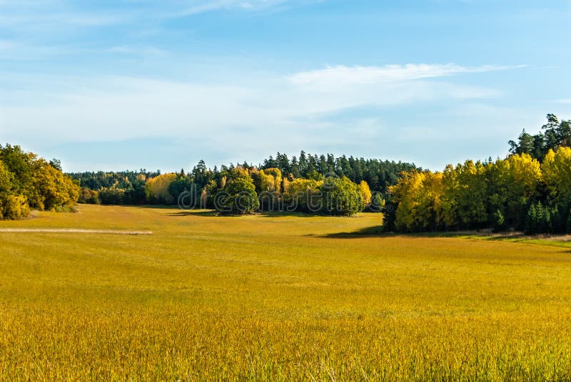 Field in fall stock photo. Image of landscape, sweden - 31060252