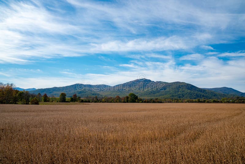 Field in Fall Looking Out To Old Rag Mountain in the Distance Stock ...