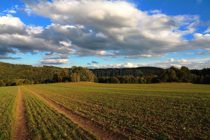 Field of farmland stock photo. Image of meadow, farmland - 147818722