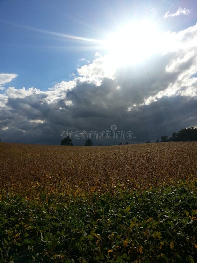 Field stock image. Image of feild, clouds, field, nature - 48867401