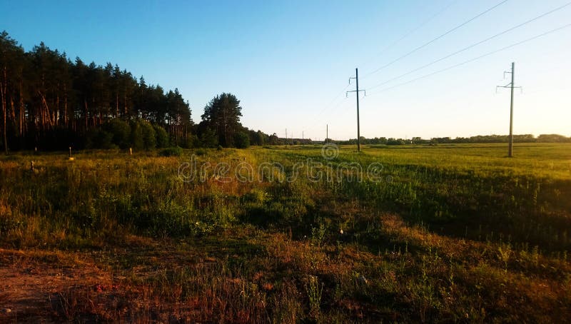 Landscape of an Unplowed Field Stock Photo - Image of forest, unplowed ...