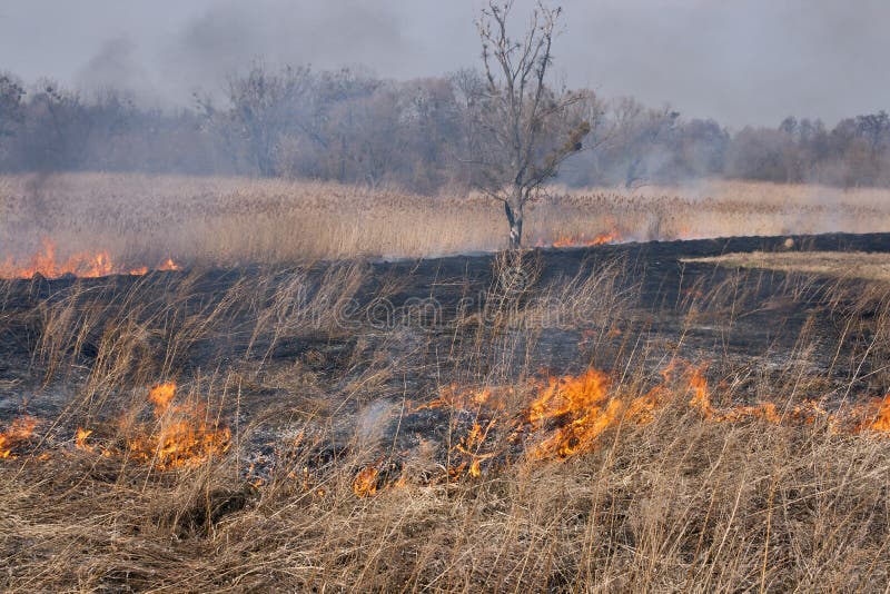 Field on fire stock photo. Image of rush, heat, horizontal - 25017986